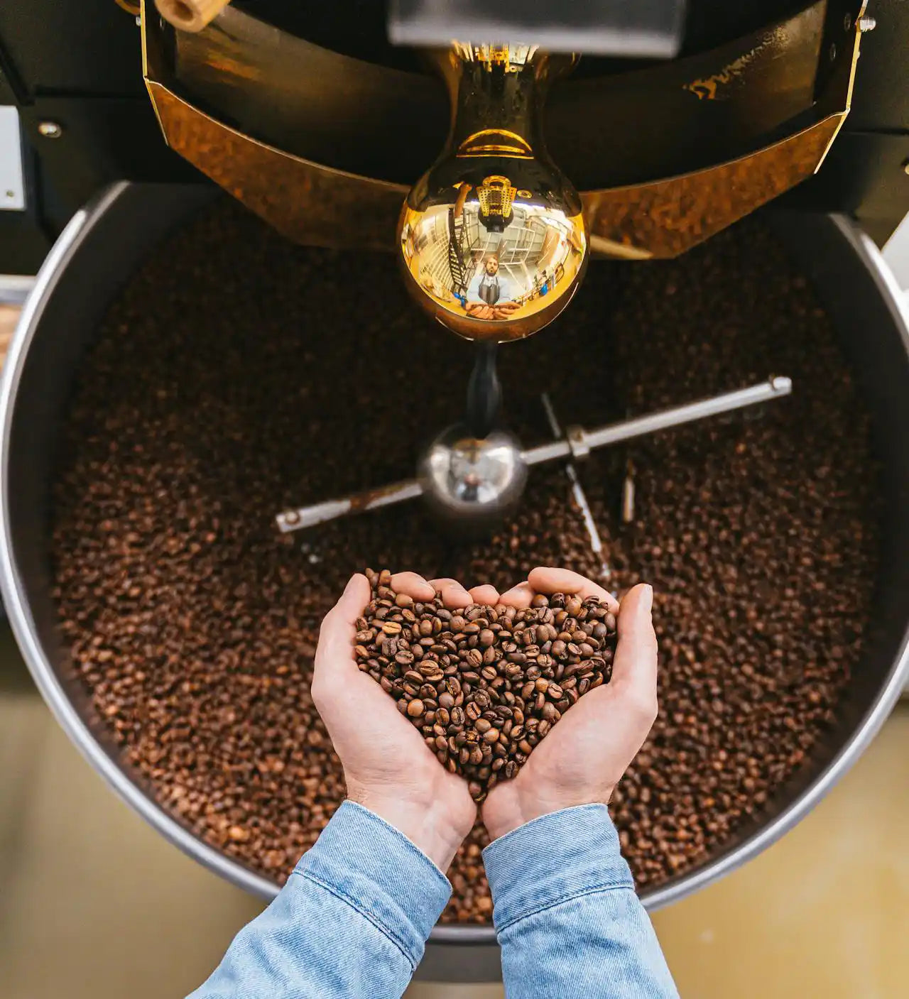 Alle Kaffeeröstungen im Überblick – Röstgrade, Techniken & Aromen erklärt